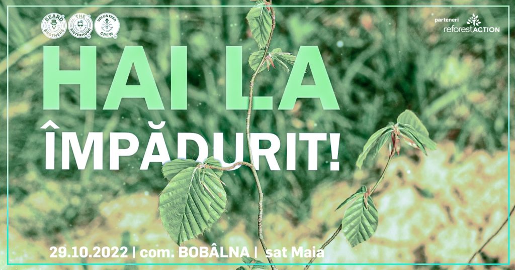 Împădurirea de la Bobâlna