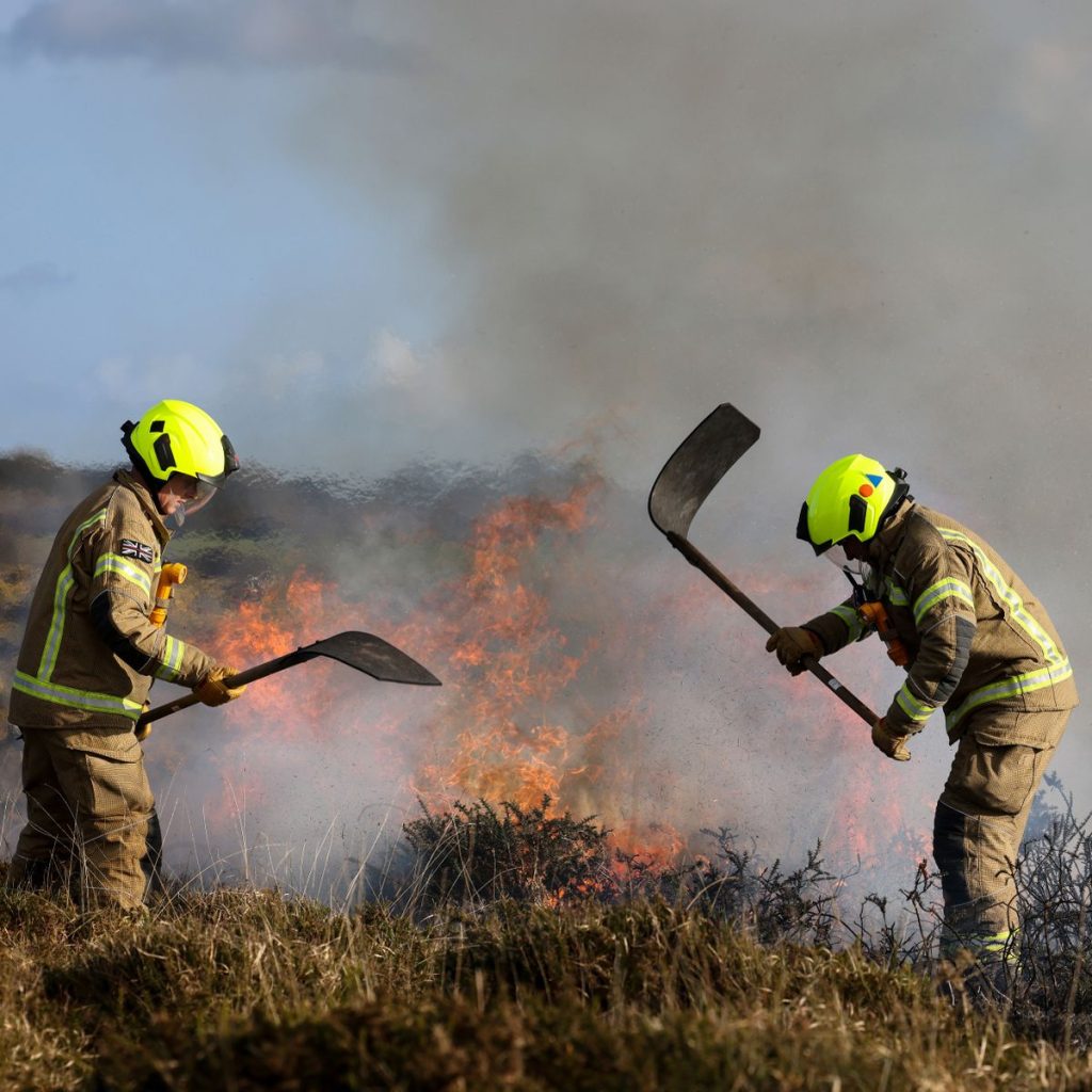 Prevenirea propagării incendiilor în plantația forestieră