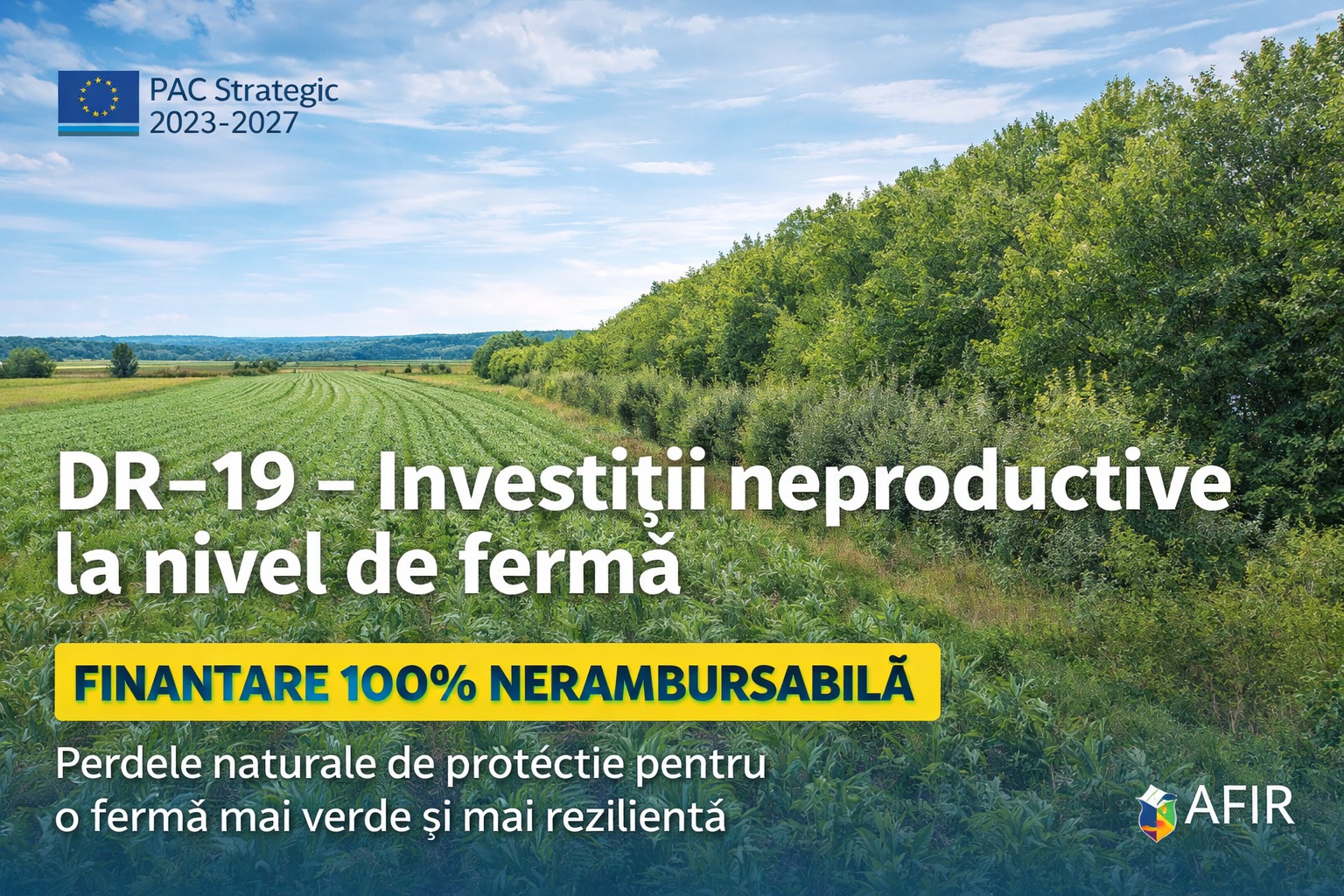 Ghidul de finanțare pentru perdele forestiere și garduri vii prin DR 19 ...